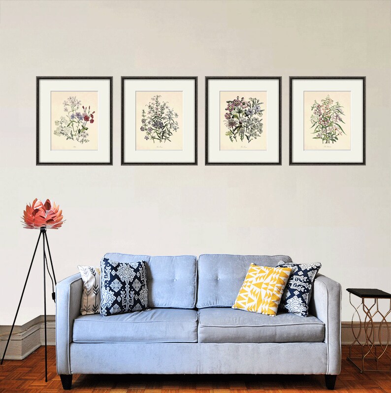 Antique Flower Art Print Set Antique Prints Pink Botanical | Etsy