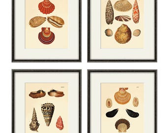 Antique Shell Art - Etsy