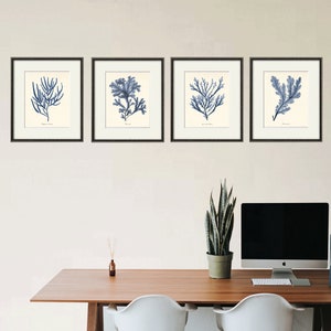 Navy Blue Nautical Art Print Set of 4 Antique Wall Art Victorian Art ...