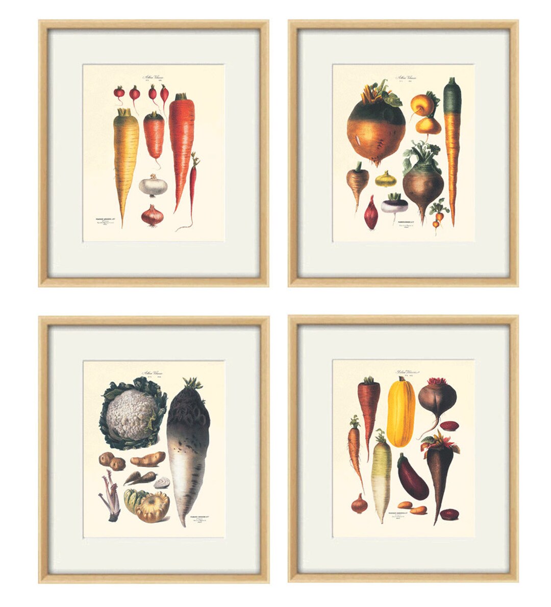 Vegetable Art Print Antique Botanical Print Vegetable Print Kitchen Art ...