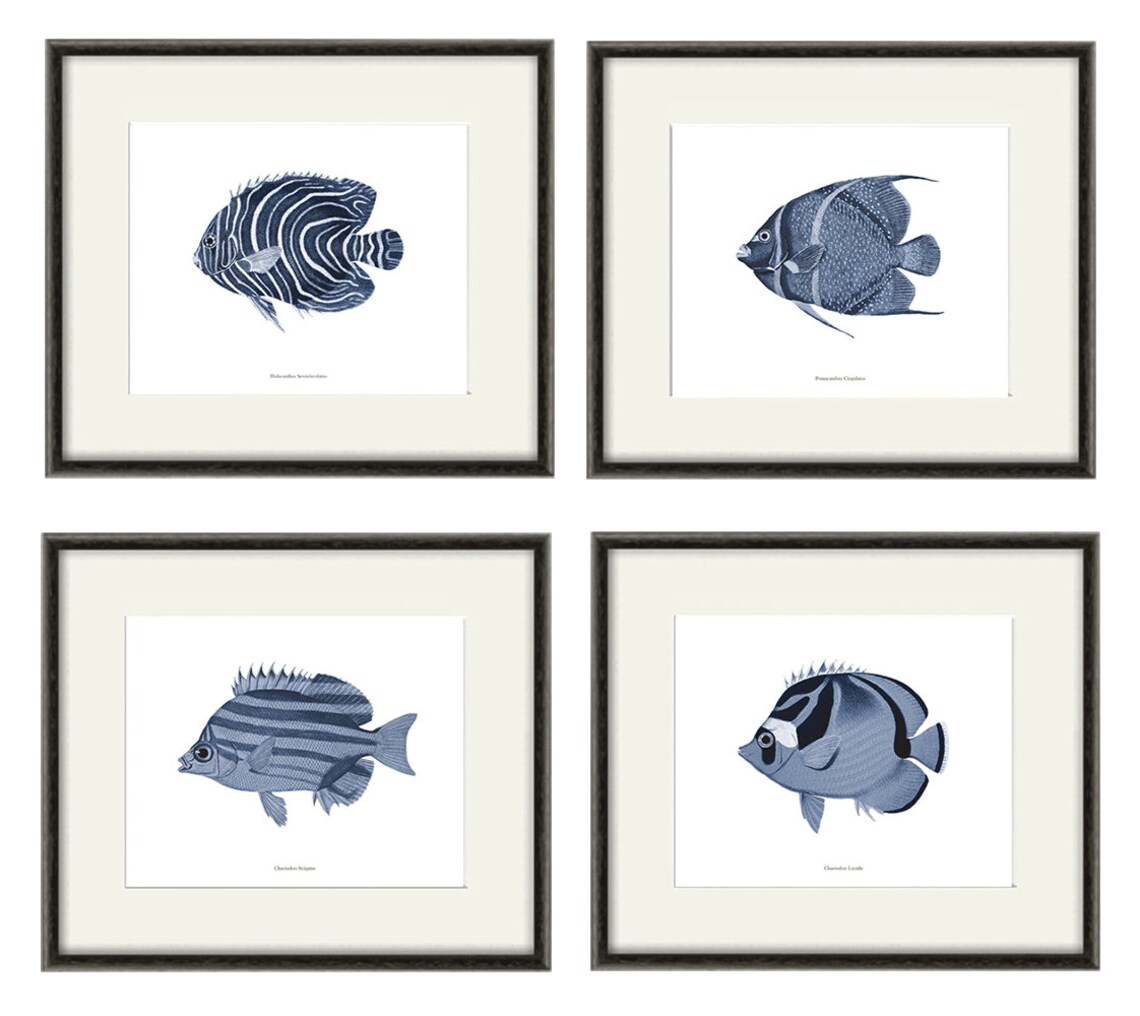 Tropical Fish Art print navy blue art fish print antique wall | Etsy