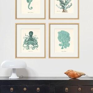 Green Sea Coral Art Nautical Print Set Sea Art Print Vintage Ocean Life ...