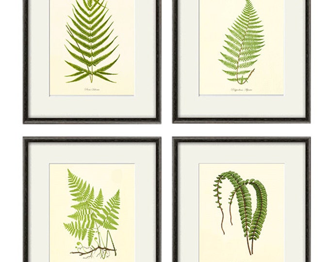 Letter E French Dictionary Alphabet Chart Paris France to - Etsy