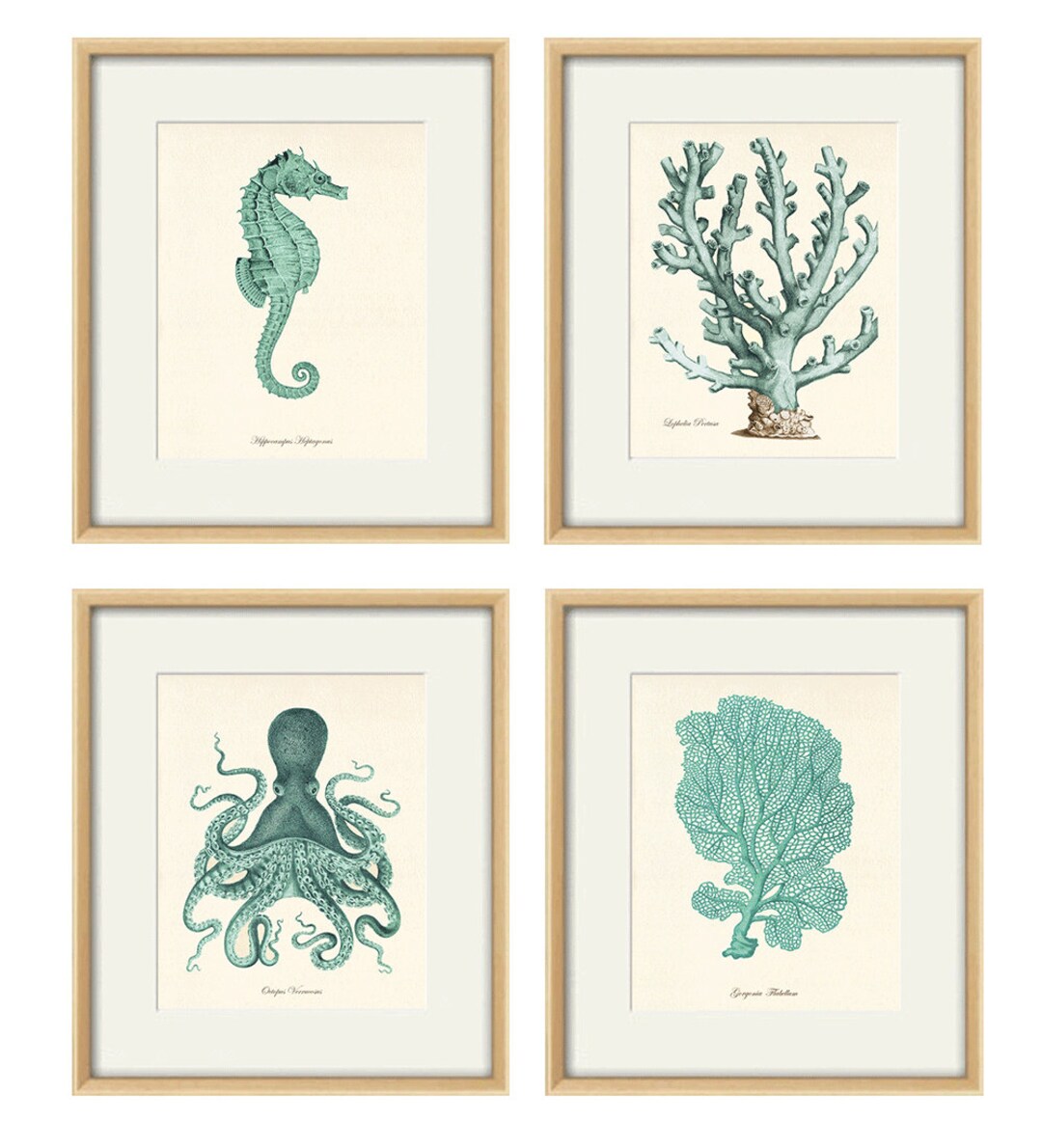 Green Sea Coral Art Nautical Print Set Sea Art Print Vintage Ocean Life ...