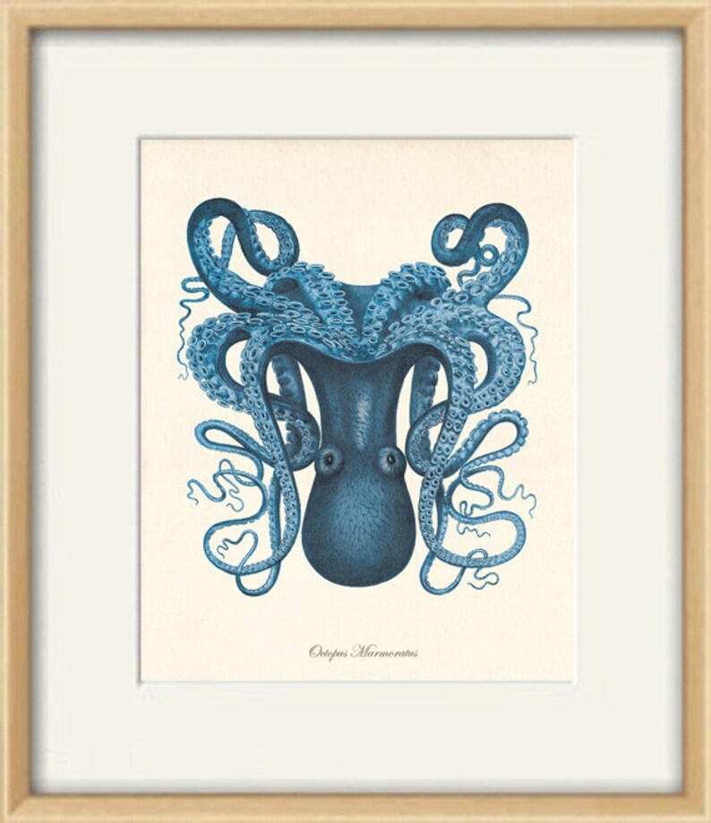 Octopus Art Antique Prints Victorian Art Print Poster Ocean - Etsy