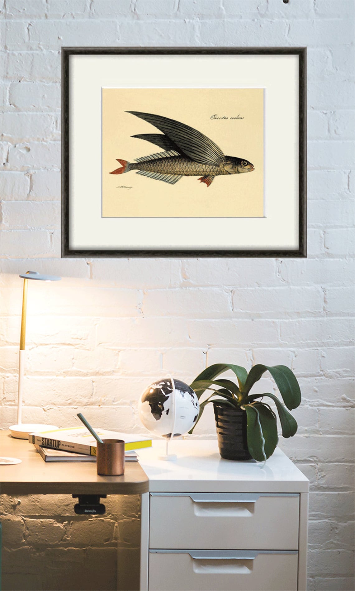 Flying Fish art print Vintage sea art print fish wall art | Etsy