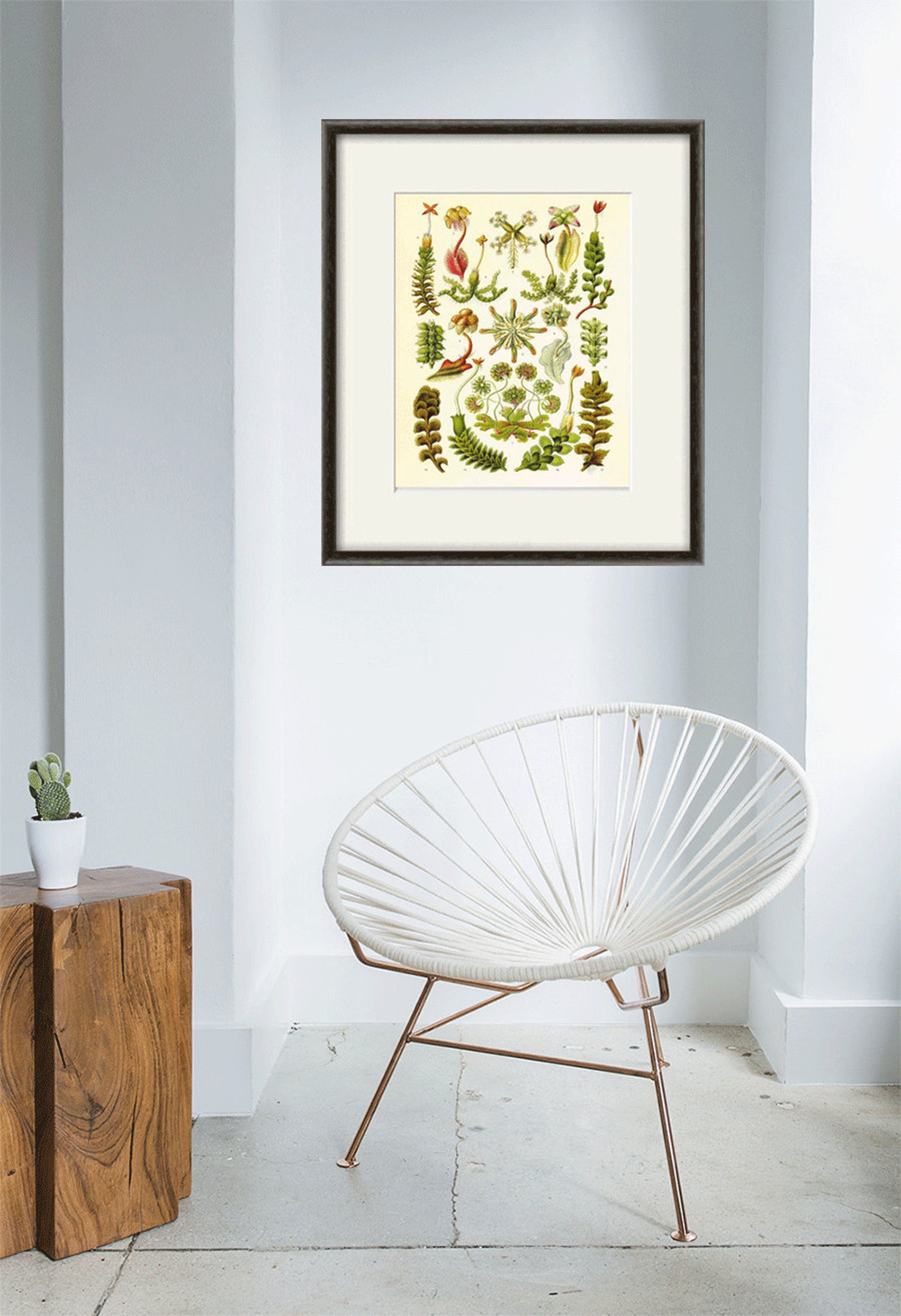 Seaweed art print nautical print sea art print Sea beach art | Etsy