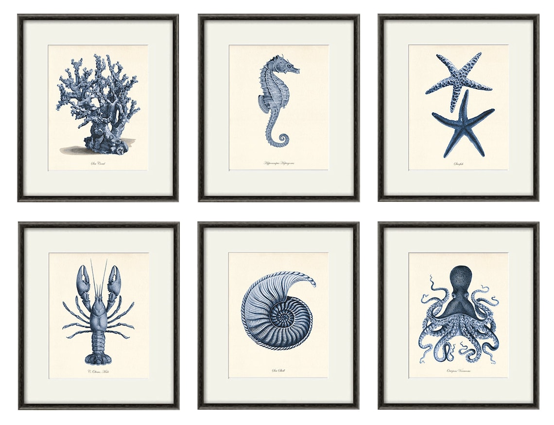 Nautical Art Print Navy Blue Art Sea Coral Art Print Set of 6 - Etsy