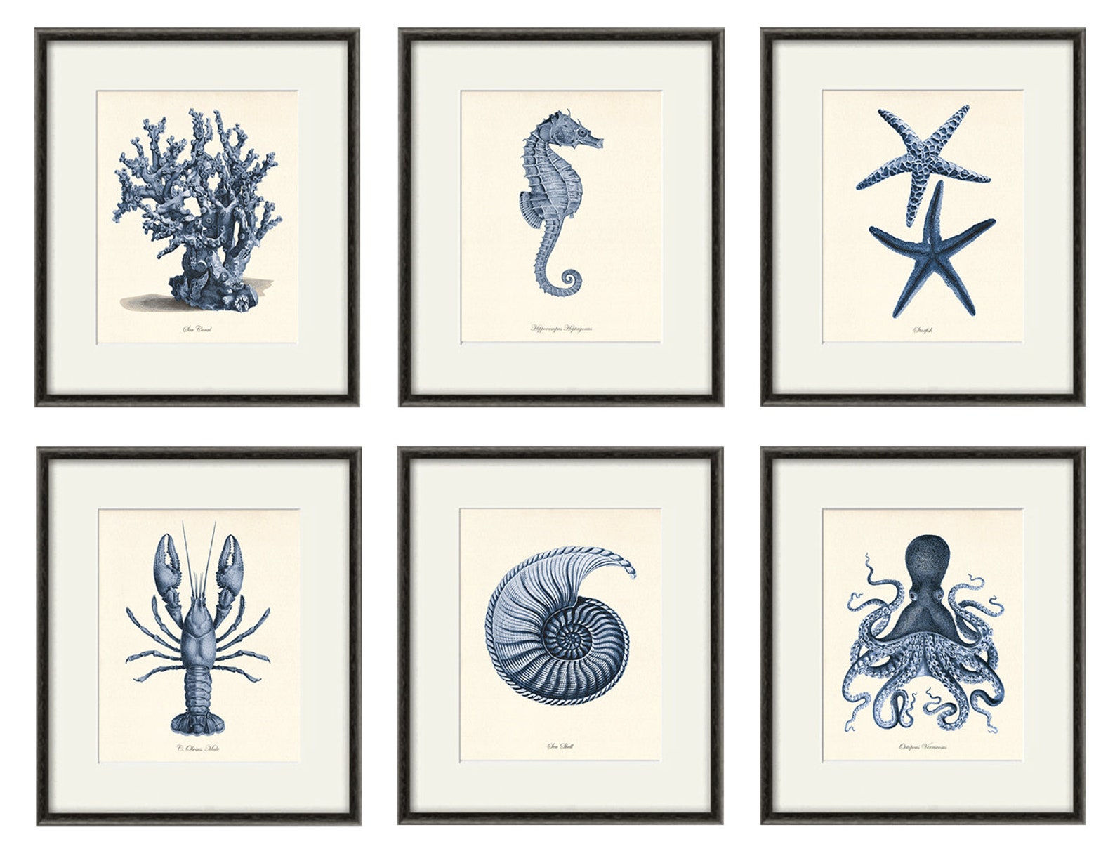 Nautical Art Print Navy Blue Art Sea Coral Art Print Set of 6 | Etsy