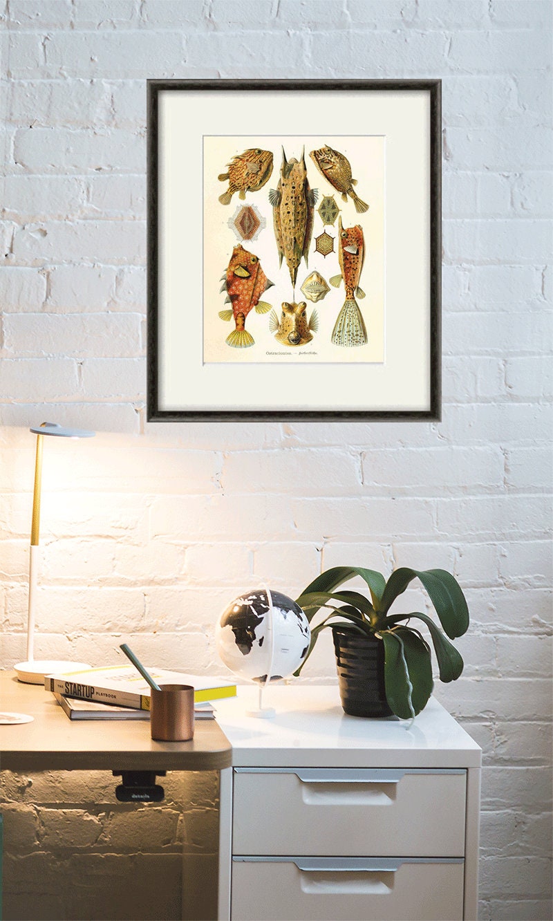 Antique Fish art vintage nautical print Ocean art Sea beach | Etsy