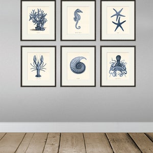 Nautical Art Print Navy Blue Art Sea Coral Art Print Set of 6 - Etsy