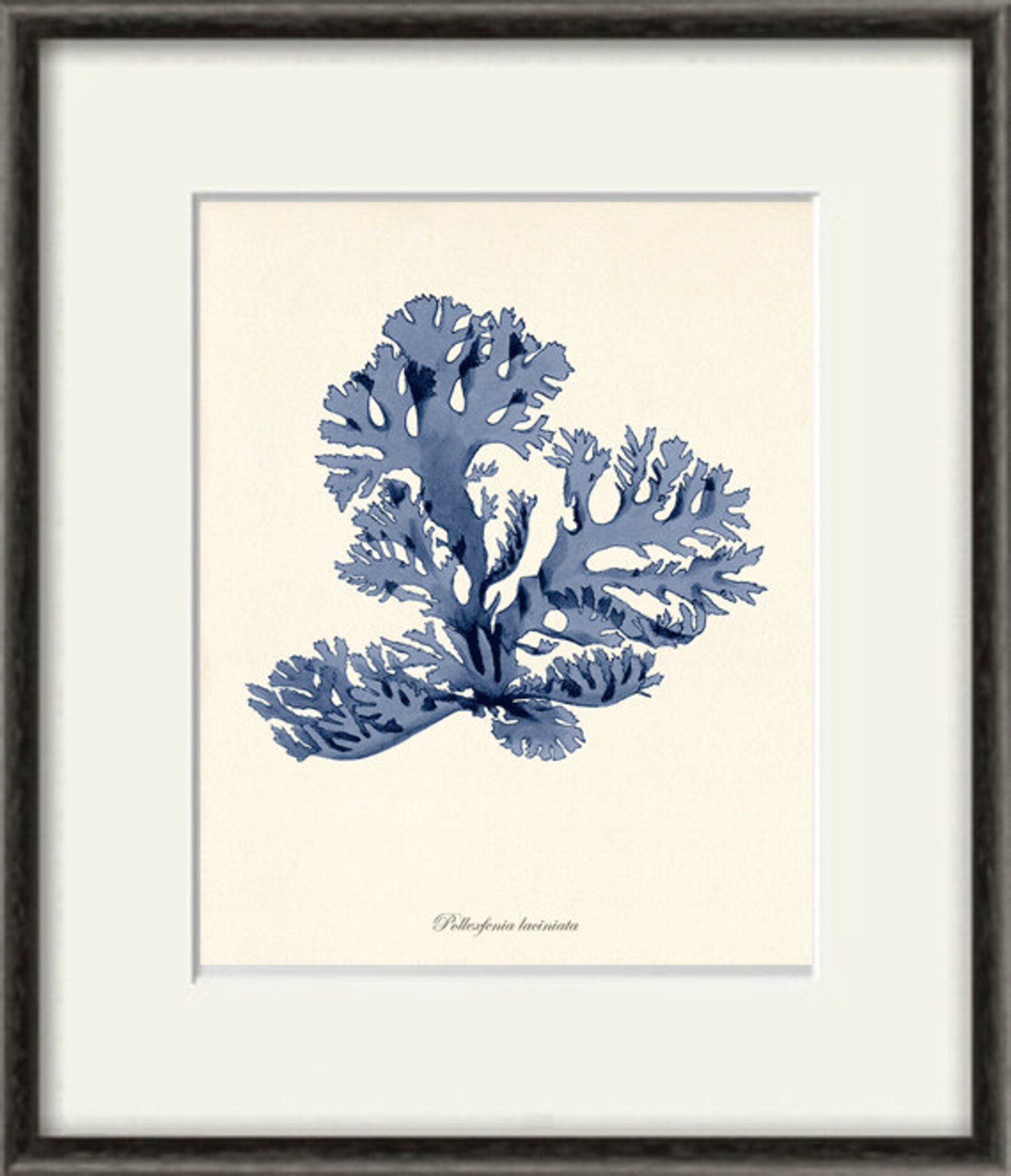 Navy Blue Nautical Art Print Set of 6 Antique Wall Art - Etsy