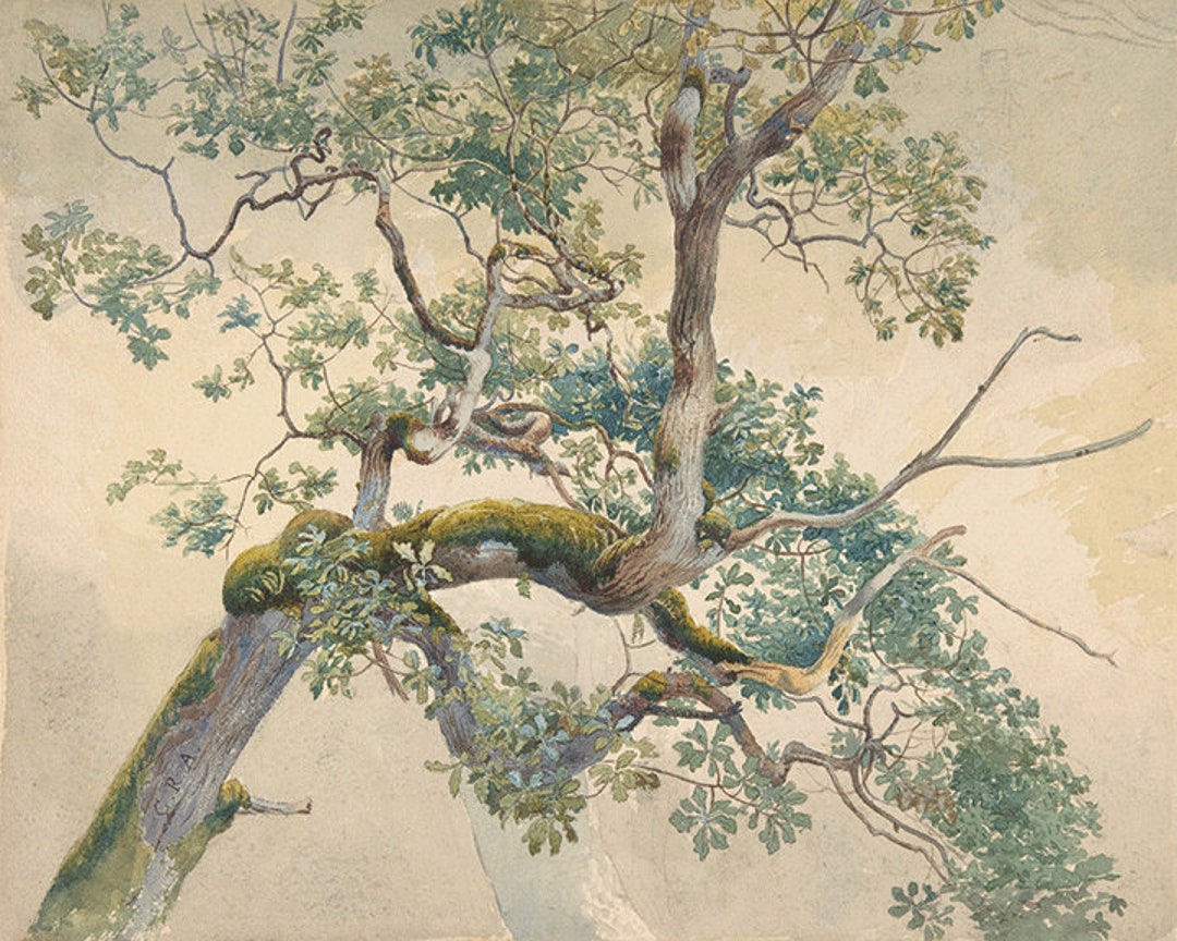 Tree Art Tree Branches Art Forest Wall Art Botanical Art Prints Home ...