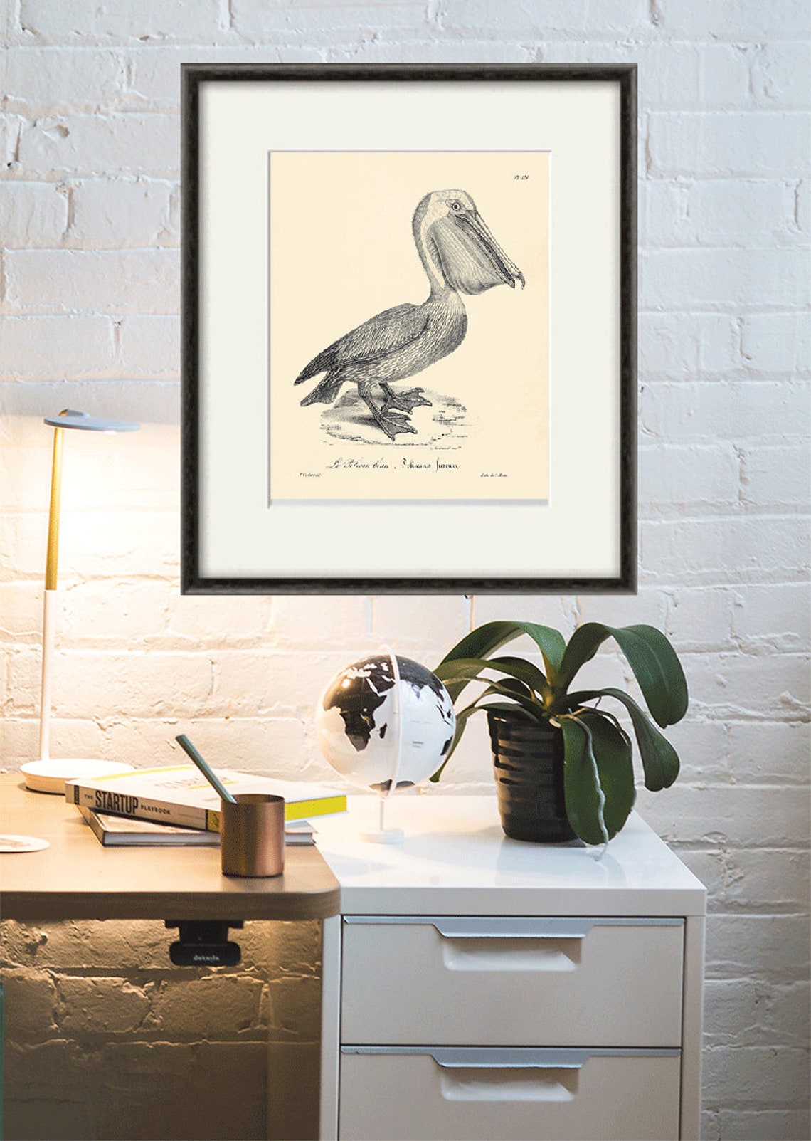 Pelican Art Print Bird Print Nature Print Antique Prints - Etsy