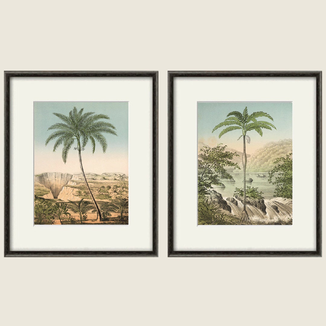 Antique Palm Tree Print Set: Victorian Botanical Wall Art Set of 2 - Etsy