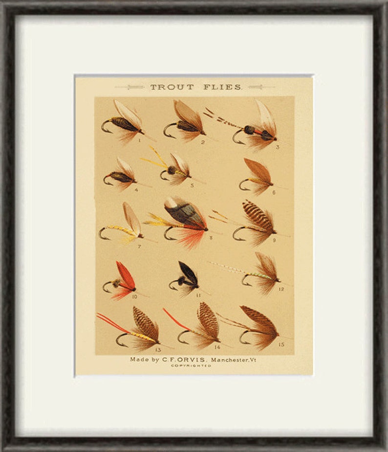 Trout Flies Fishing Print Fly Fishing Art Fishing Decor Art - Etsy