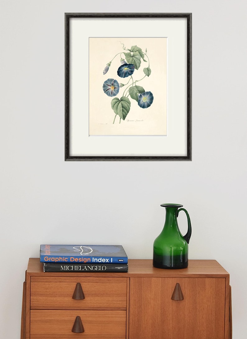 Antique French Botanical Print: Flower Wall Art Illustration - Etsy