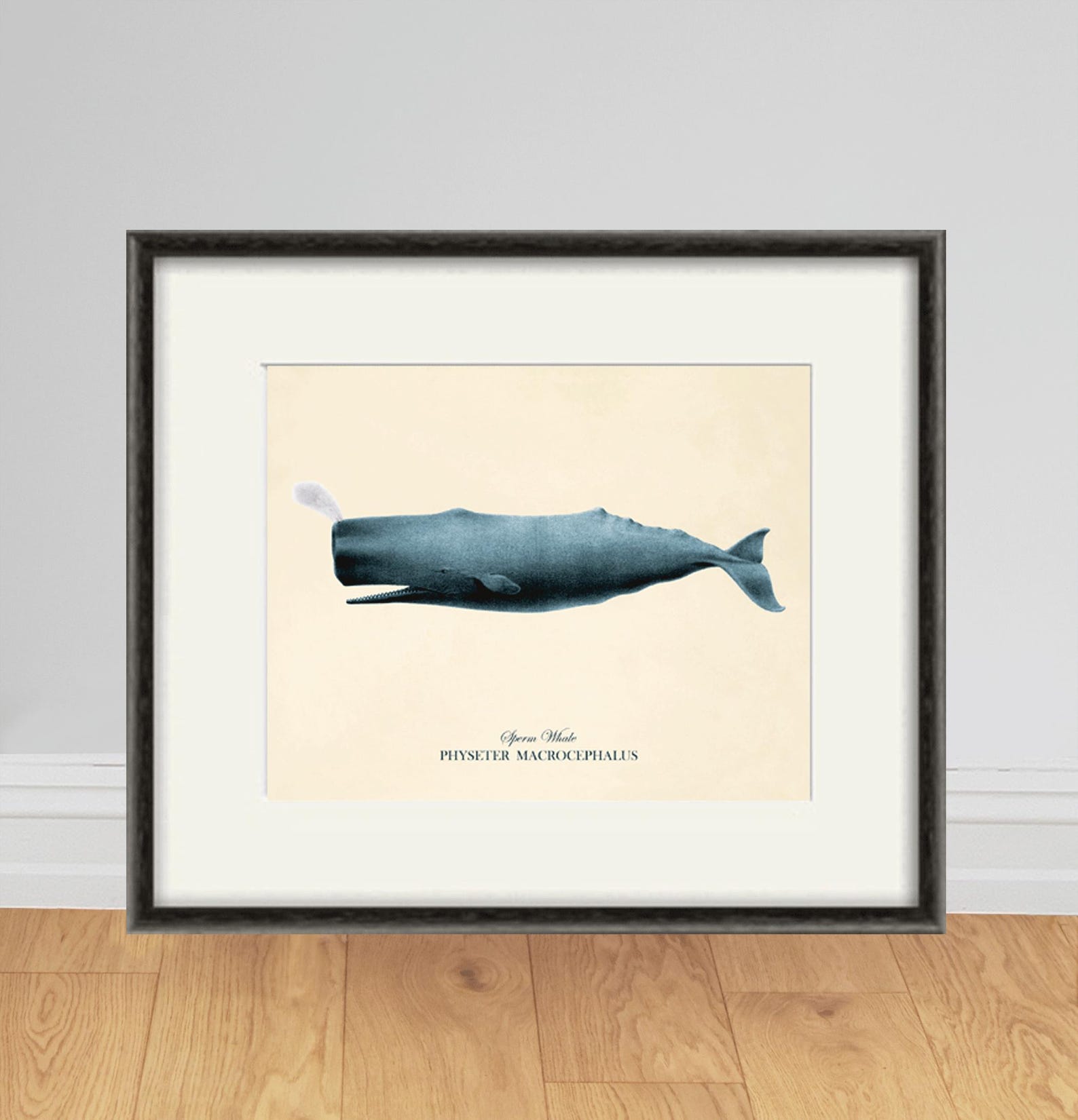 Antique Whale Print: Victorian Nautical Ocean Art - Etsy