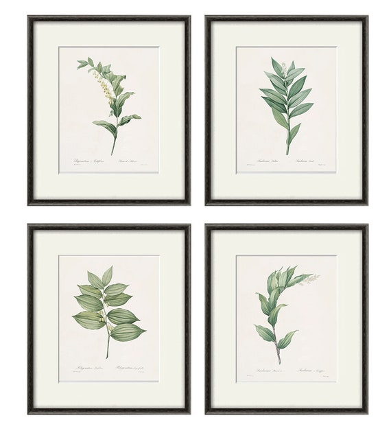 Prints Botanical print set leaf art print French Botanical art print ...