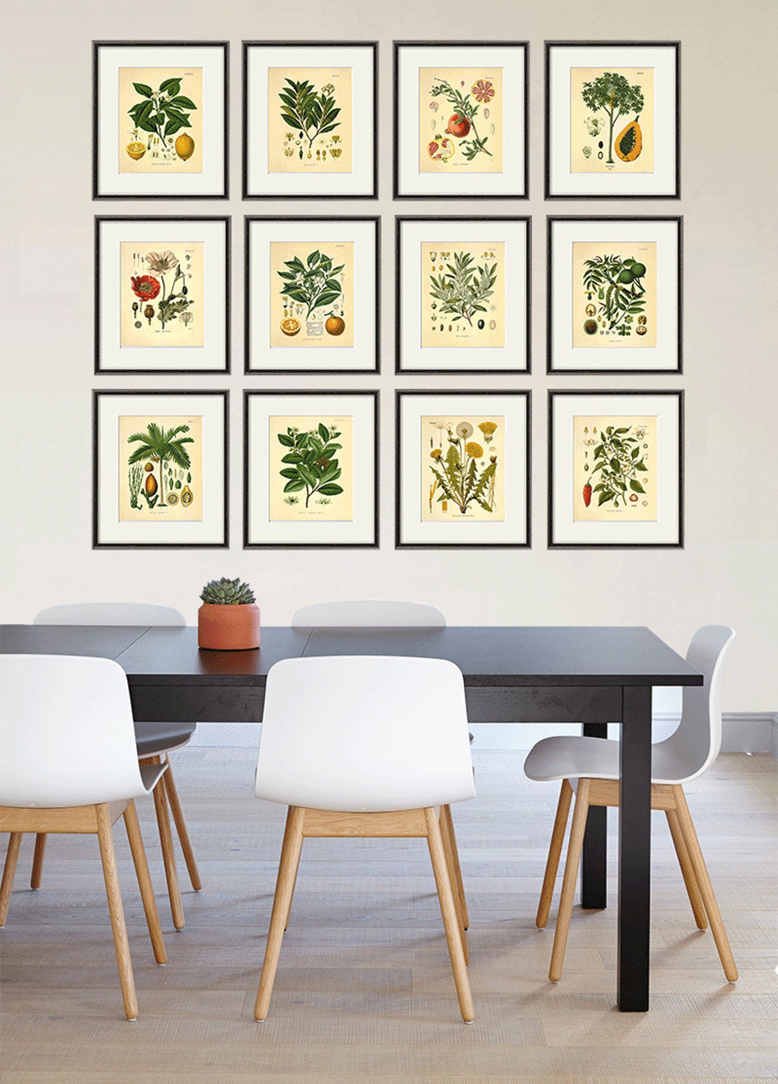 Antique Dandelion Art Print Vintage Antique Botanical Art - Etsy