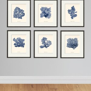 Navy Blue Nautical Art Print Set of 6 Antique Wall Art Victorian Art ...