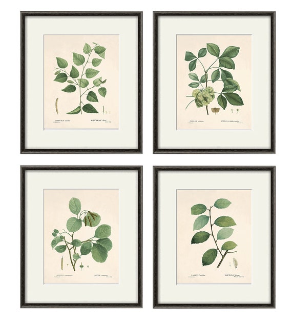 Botanical Print Set Leaf Art Print French Botanical Art Print - Etsy