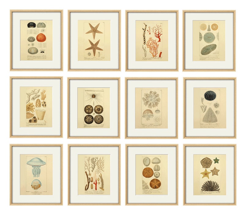 Sea Art Print Nautical Print Set Sea Art Print Vintage Ocean | Etsy