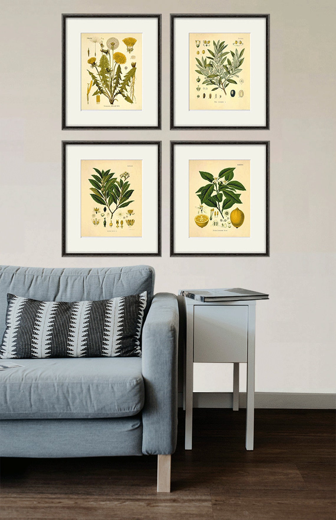 Antique Dandelion Art Print Vintage Antique Botanical Art - Etsy
