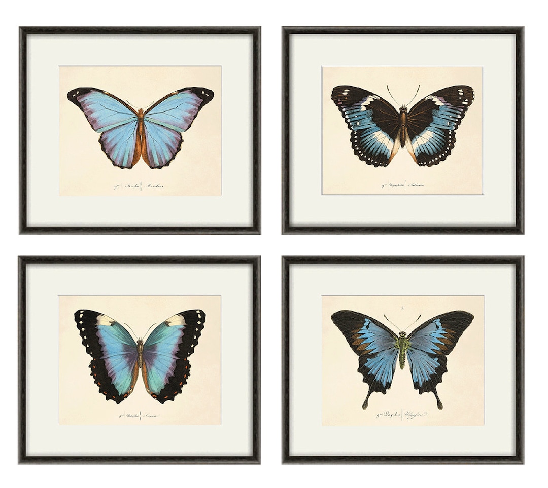 Blue Butterfly Art Print French Art Print Cottage Wall Art Victorian ...