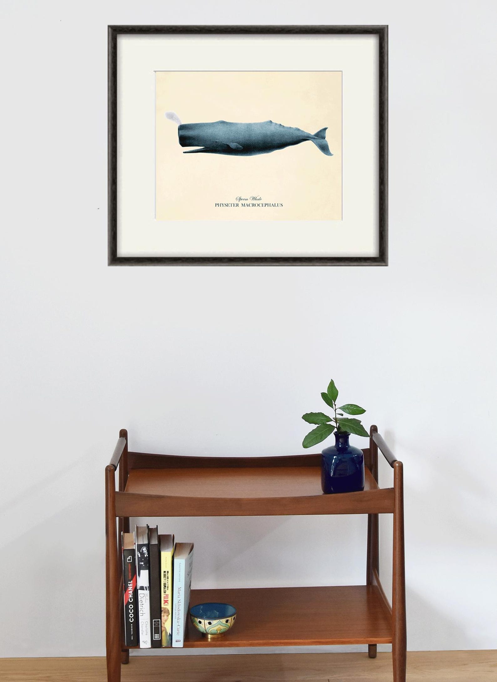 Antique Whale Print: Victorian Nautical Ocean Art - Etsy