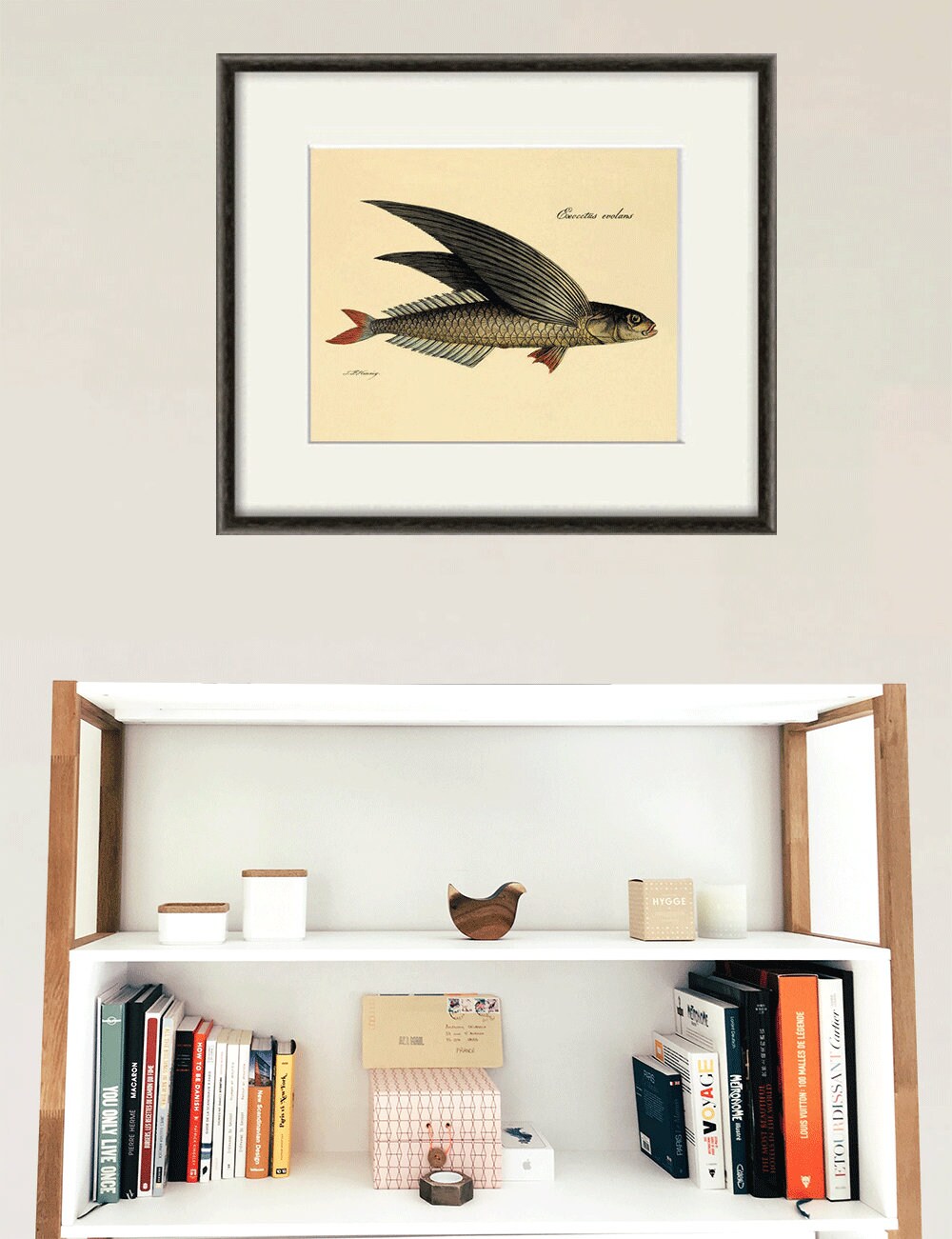 Flying Fish art print Vintage sea art print fish wall art | Etsy