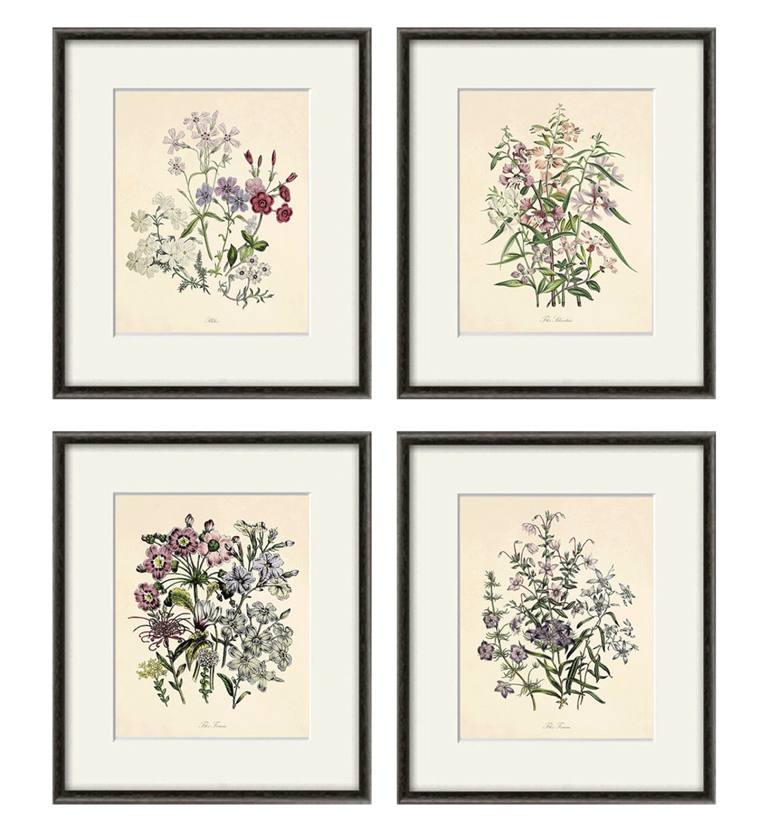 Antique Flower Art Print Set Antique Prints Pink Botanical Prints ...