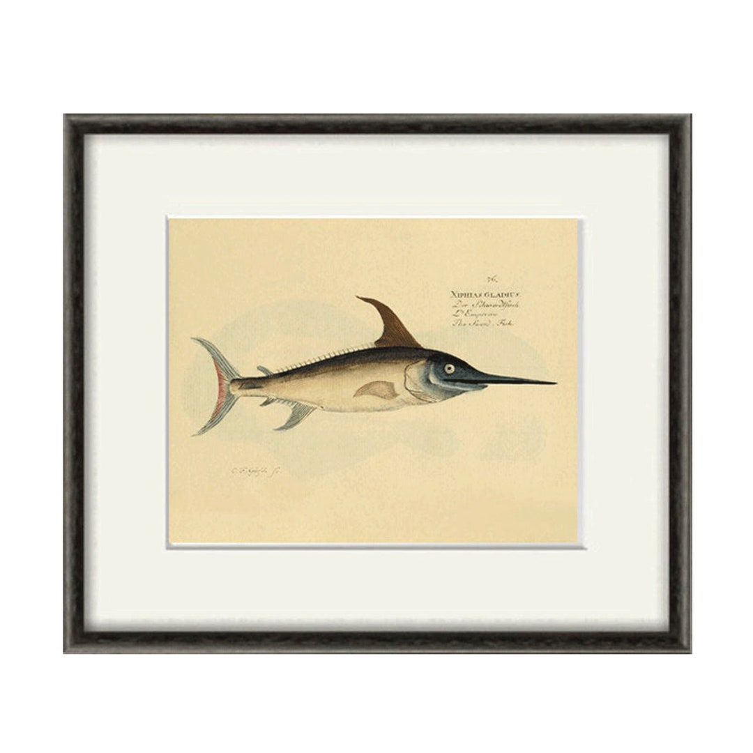 Swordfish Antique Fish Art Print Vintage Sea Art Print Nautical Art ...