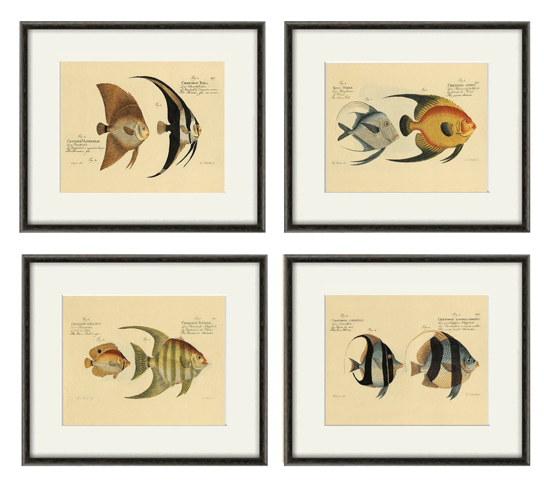 Antique Fish 4 Art Print Set Antique Prints Nautical Art Print Ocean ...