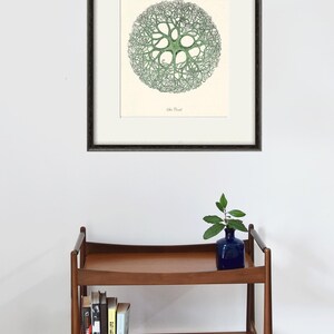 Green Coral Art Print Vintage Nautical Art Print Sea Art Print Ocean ...