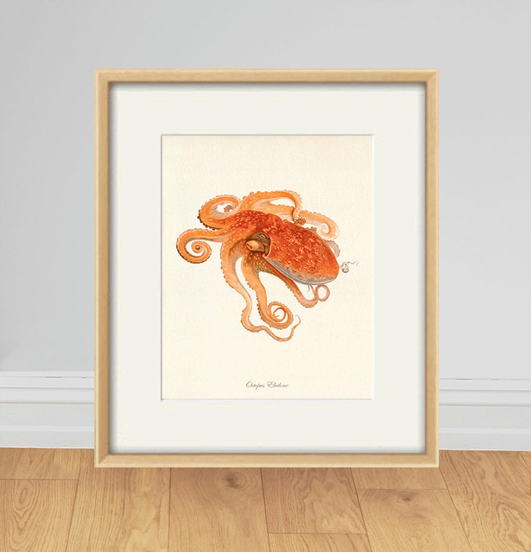 Octopus Art Nautical Art Print Set Ocean Life Art Natural History Art ...