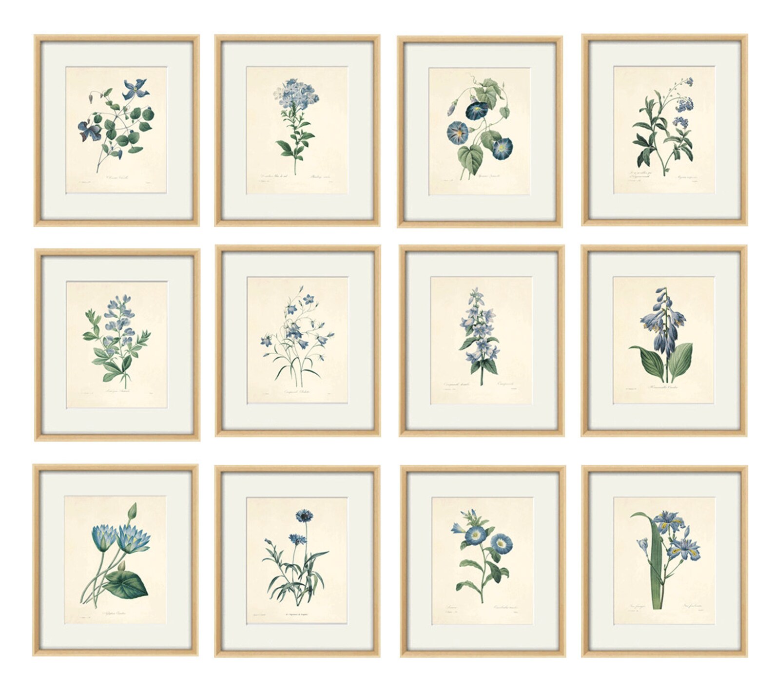 Blue Botanical Print Set: Redoute French Flower Floral Wall Art - Etsy