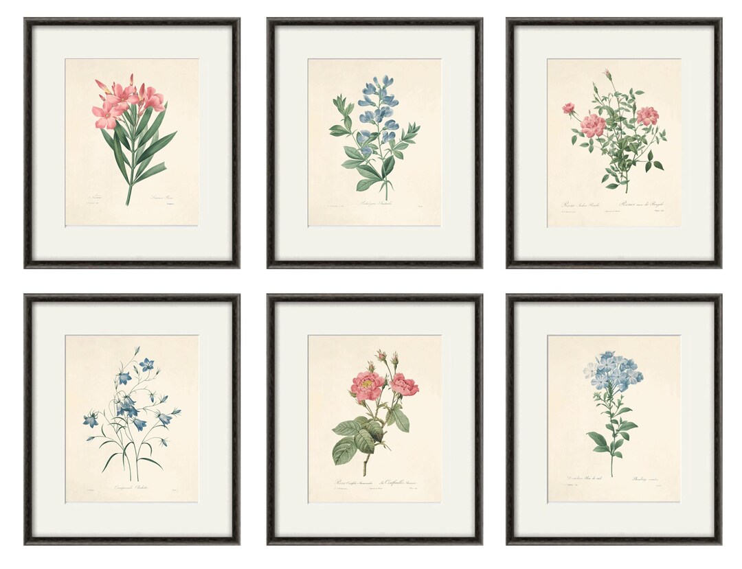 Antique Flower Art Print Set Antique Prints Pink Botanical Prints ...