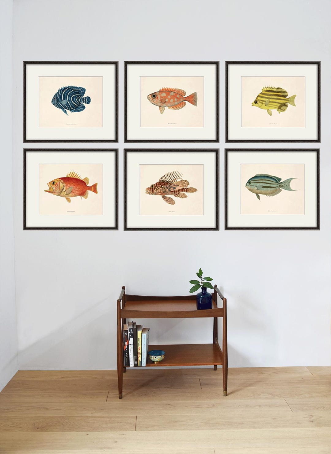 Antique Tropical Fish Print: 1800s Nautical Coastal Wall Art - Etsy
