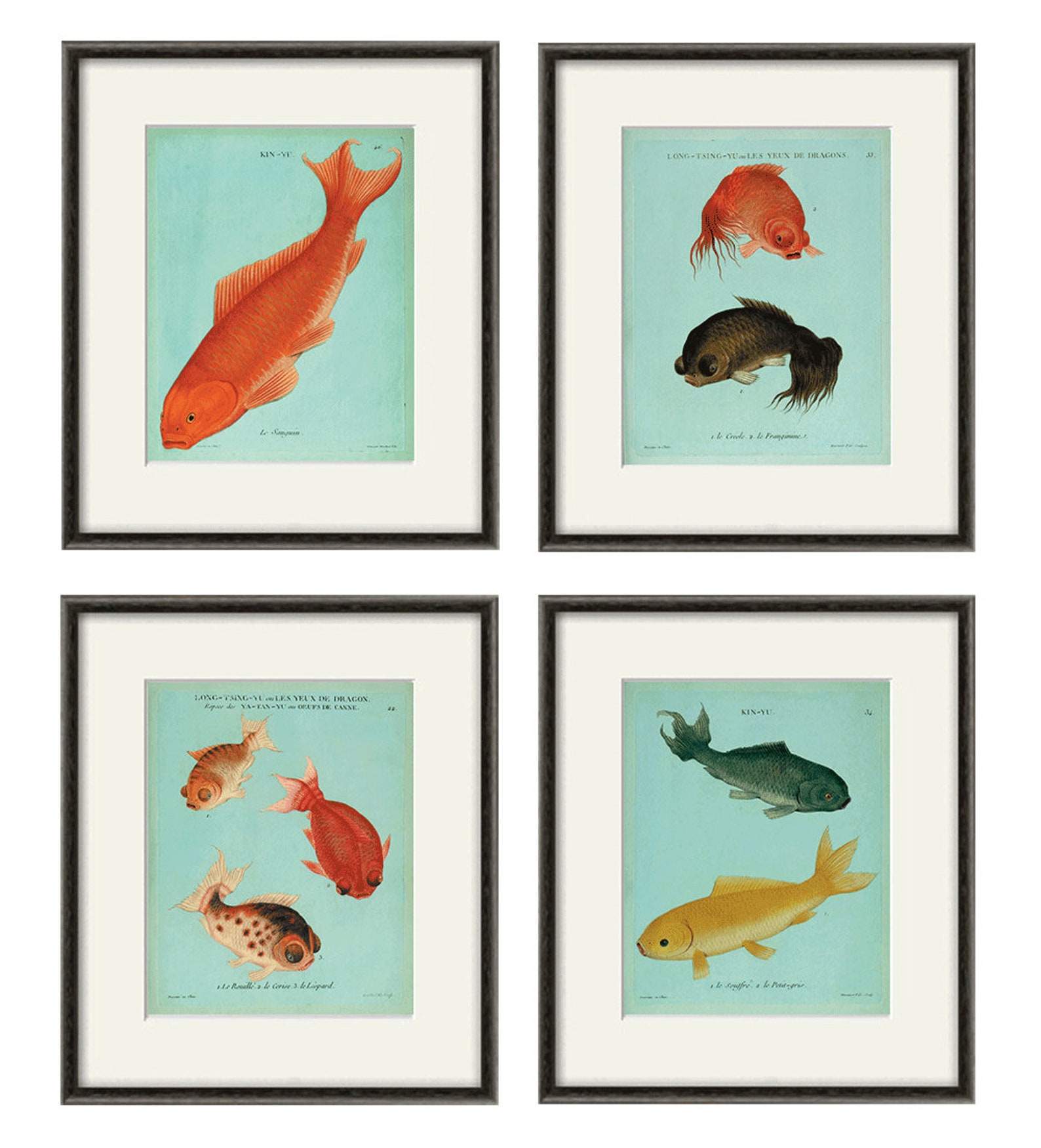Antique Fish Art Print Koi Art Print Nautical Prints Ocean Decor Sea ...