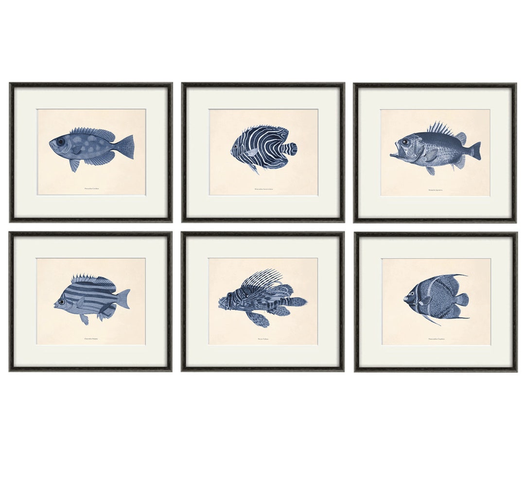 Tropical Fish Art Print Fish Wall Decor Fish Print Antique Wall Art ...