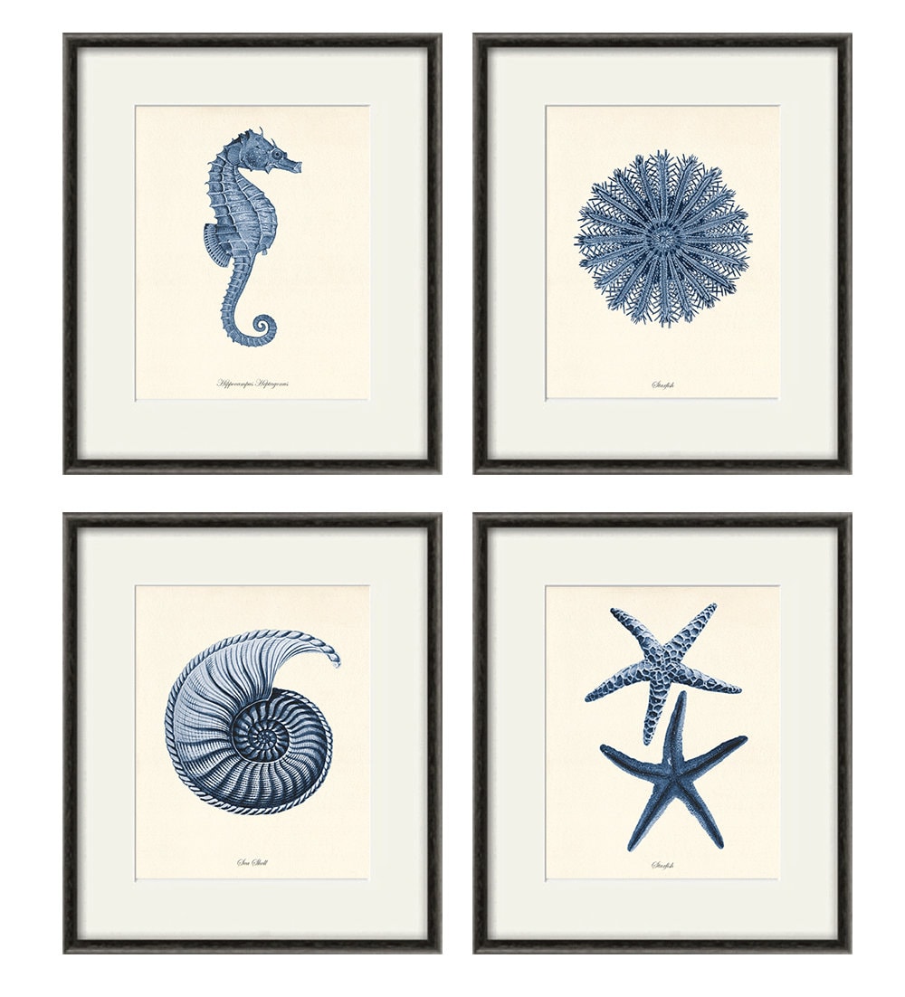 Sea coral art print Nautical art print set of 4 antique wall | Etsy