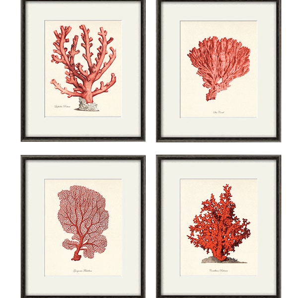 Red Coral Print - Etsy