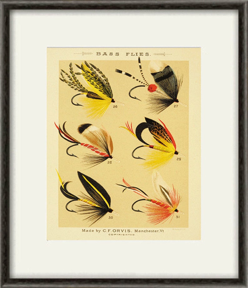 Bass Flies Fishing Print Fly Fishing Art Fishing Decor Art Old - Etsy