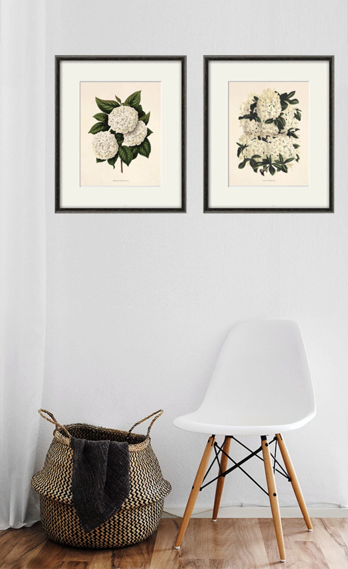 White Flower Art Botanical Print Set of 2 Antique Flower Art | Etsy
