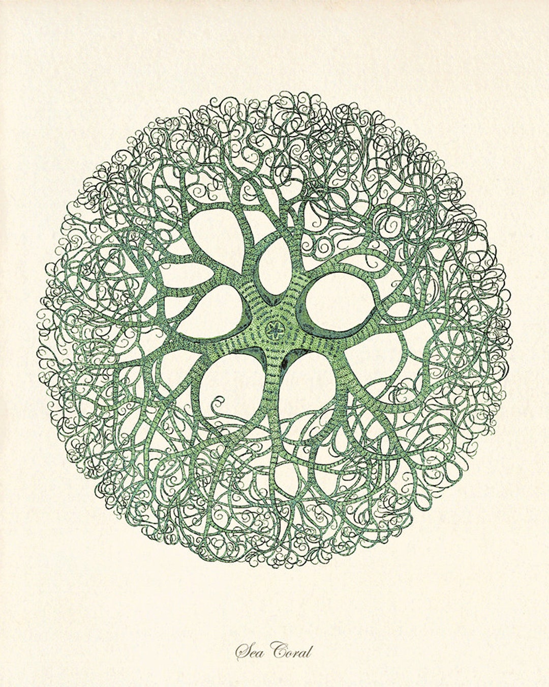 Green Coral Art Print Vintage Nautical Art Print Sea Art Print Ocean ...
