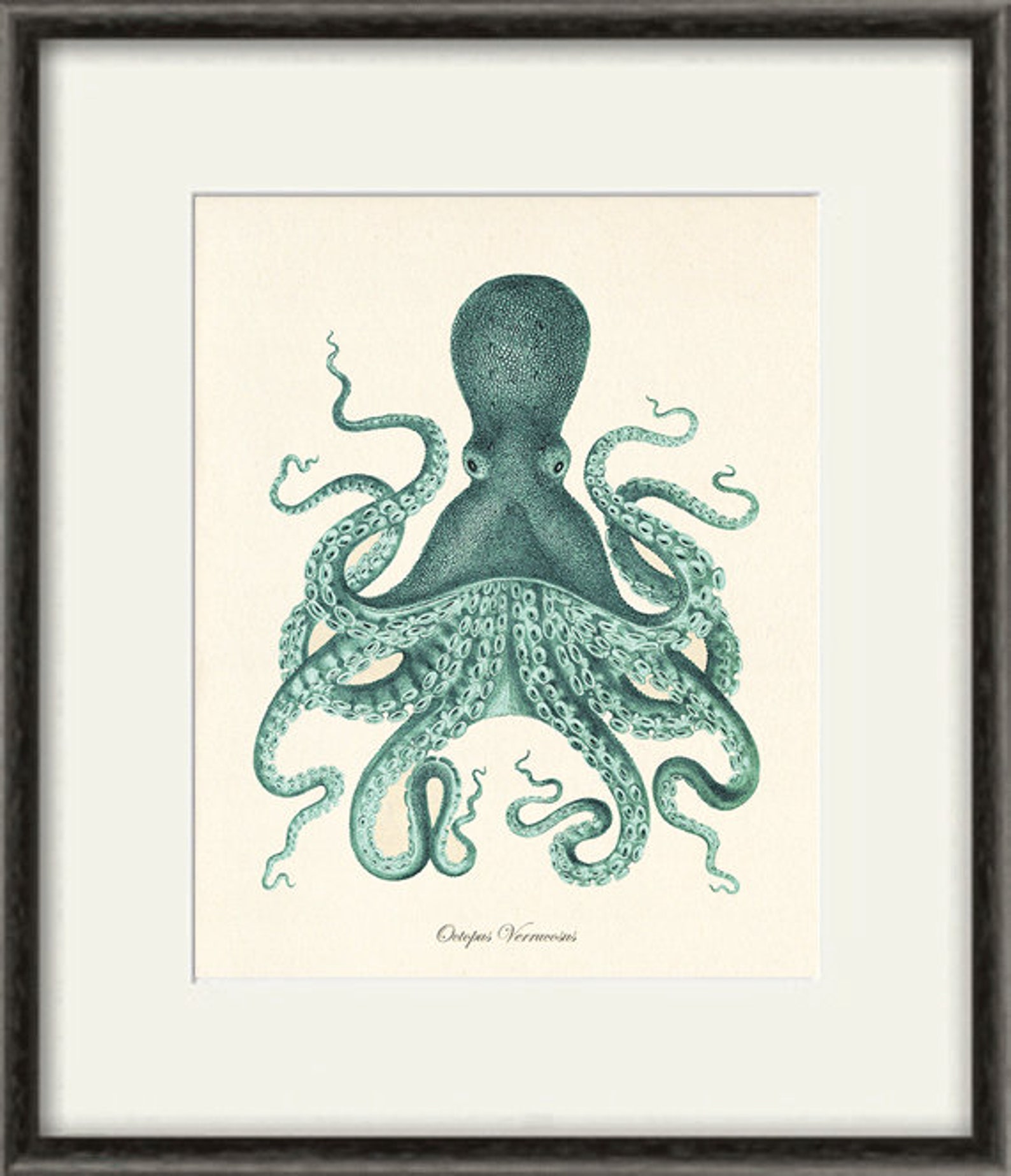 Green Sea Coral Art Nautical Print Set Sea Art Print Vintage - Etsy
