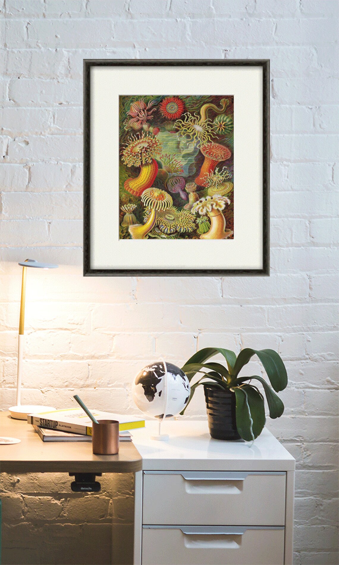 Sea Anemone Nautical Print Vintage Art Nautical Art Ocean Art - Etsy