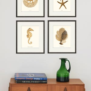 Brown Sea Coral Art Nautical Print Set Sea Art Print Vintage Ocean Life ...