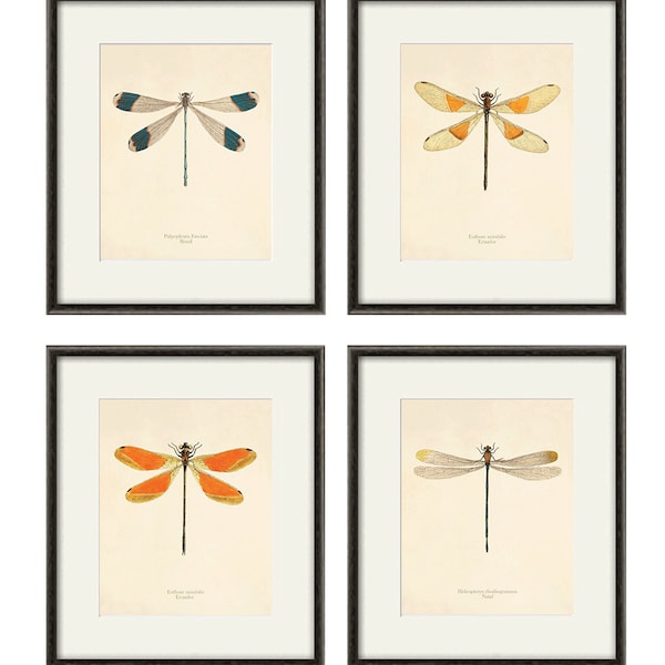 Dragonfly Art Print - Etsy